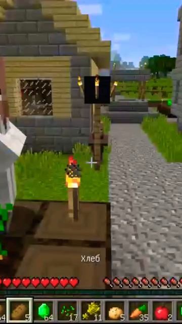 Типичный день жителя фермера деревни 12 #artempro #minecraft #деревня12#житель #типы