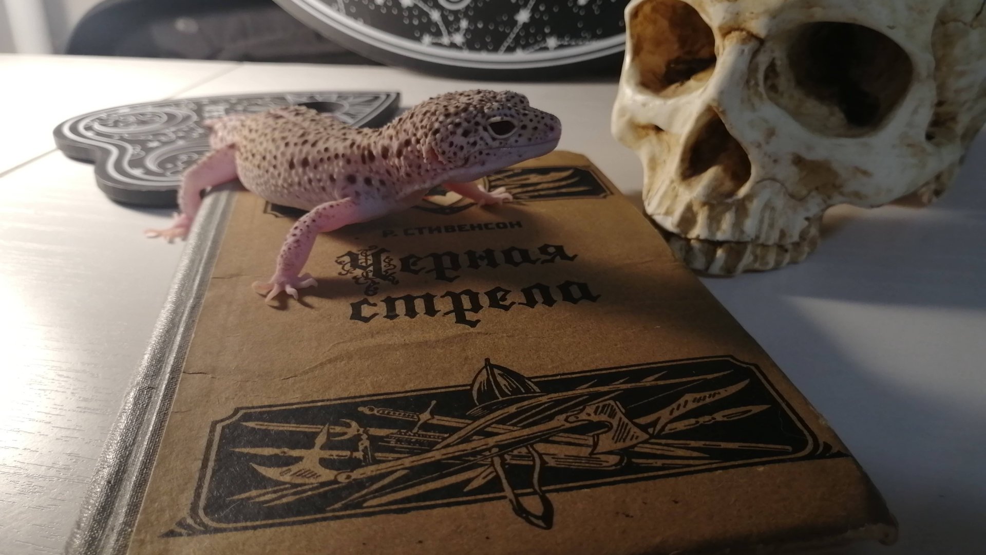 2. "Чёрная стрела" Роберт Стивенсон. Пролог.