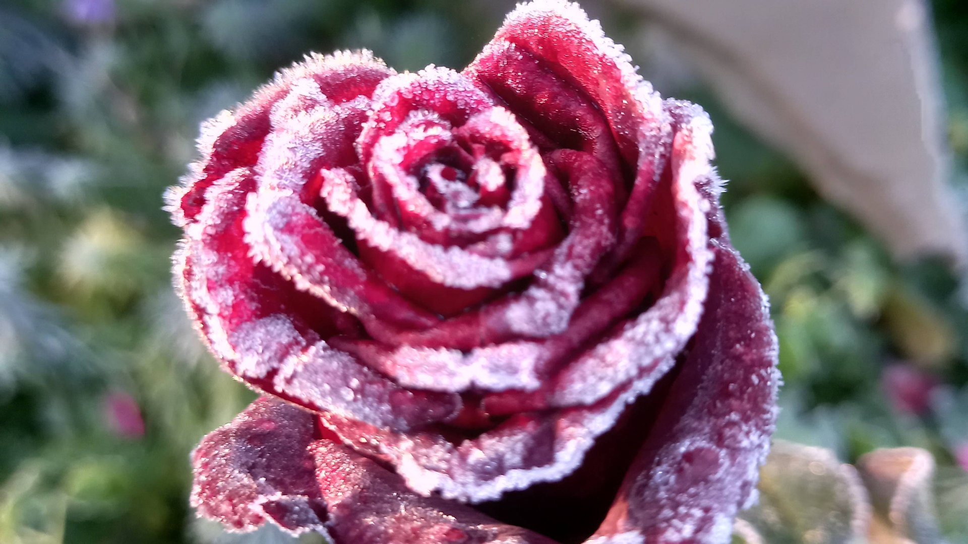 Десна 12.04.2022