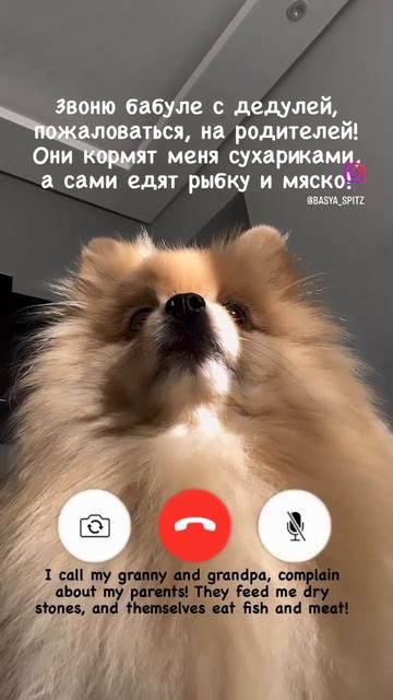 Звоню бабуле с дедулей #2