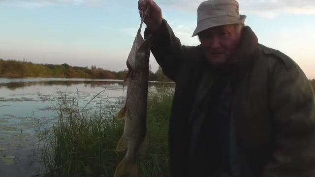 Рыбалка в начале августа