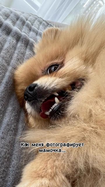 Как меня фотографируют мамочка и папочка!