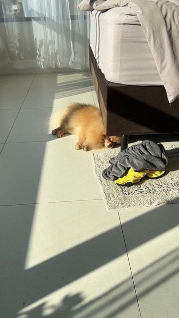 Какие у Баси отношения с её ковриком и полотенцем?