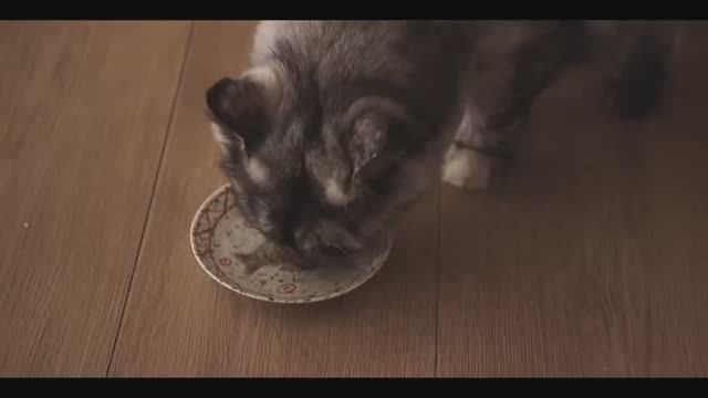 Choki. Bread, coffee, and a kind choice