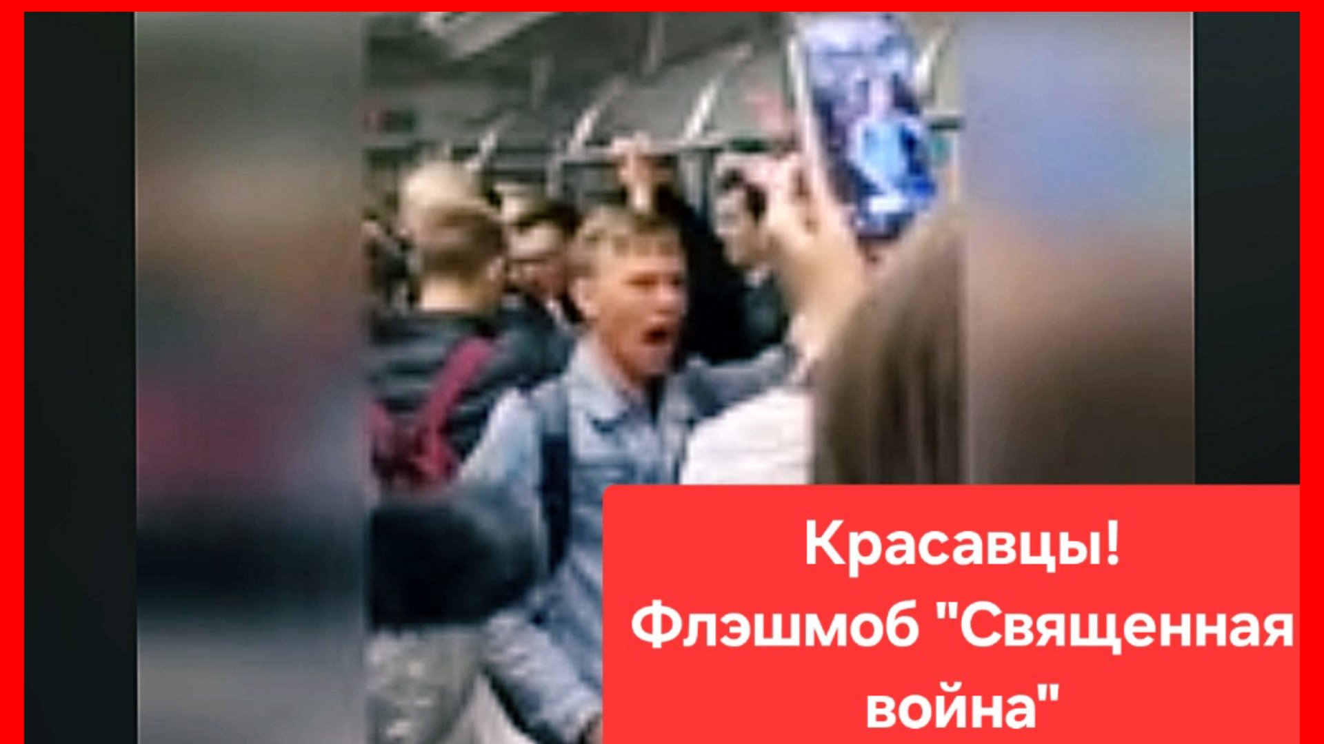 Красавцы!👍