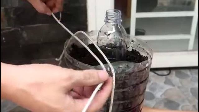 Простой способ выращивания томатов в пластиковых подвесных бутылках