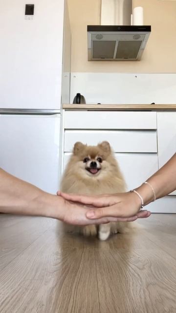 Как снять идеально милое видео!