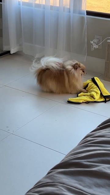 Знакомьтесь - это Басин лучший друг!