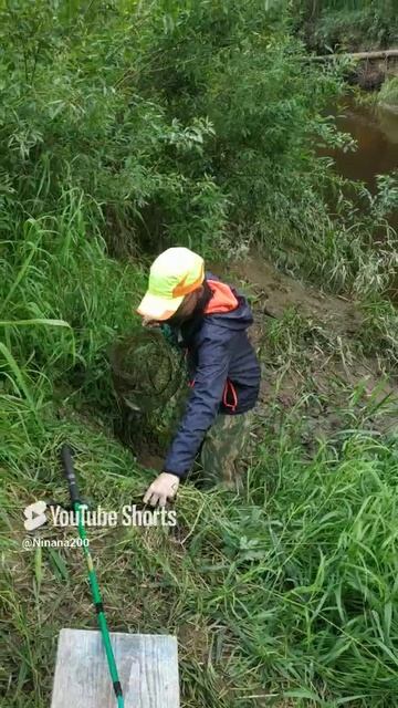 Первая рыбка в каникулы. #нинана200надаче #рыбалкавиюне #рыбалка