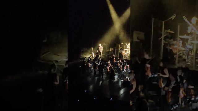 СимфоКИНО аплодисменты и выход на бис 13.10.23 БКЗ Петербург