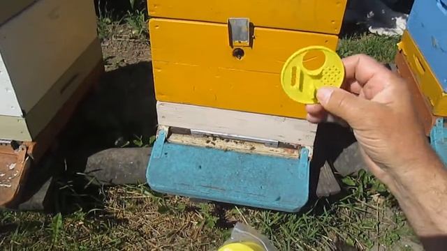 Летковый заградитель