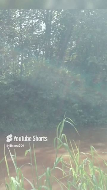 Эх, рыбалочка!