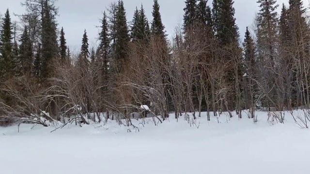 Весенний Хариус 2022! Рыбалка в кайф. Часть 1