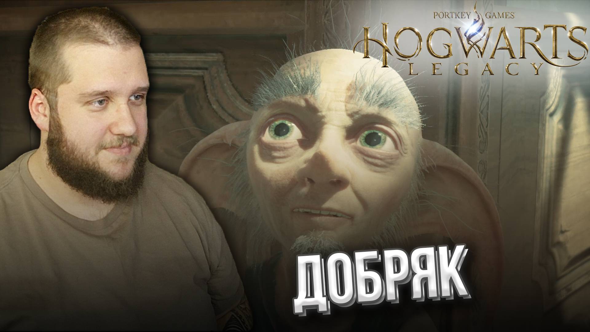 МИЛЫЙ ЭЛЬФ // Hogwarts Legacy (Хогвартс Наследие) #14