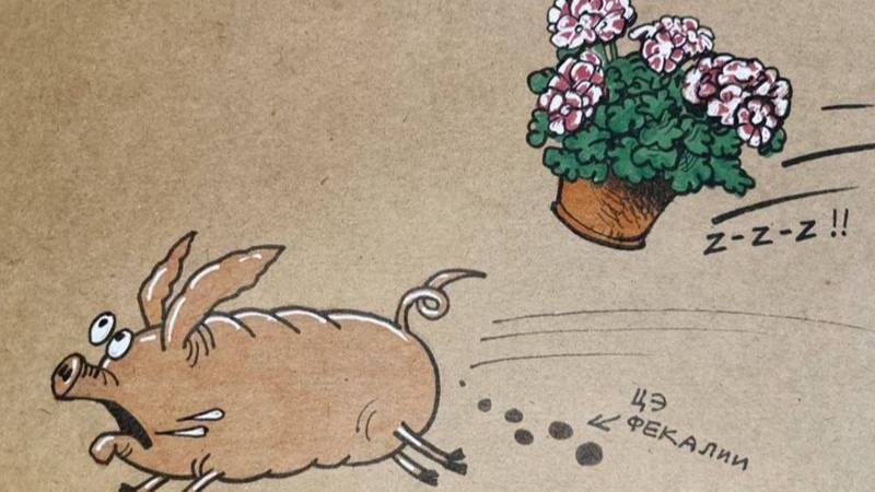 Мошенники всех мастей (сборник 17)