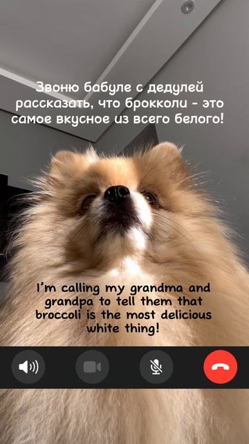 Звоню бабуле с дедулей #10
