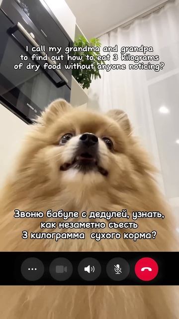 Звоню бабуле с дедулей #20