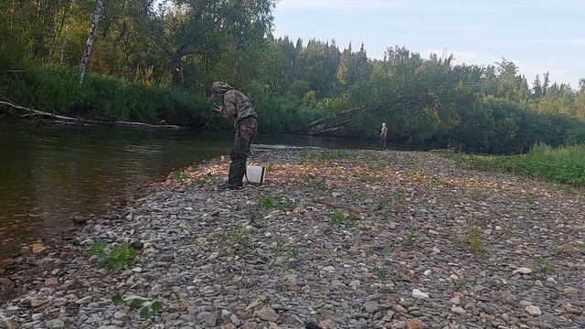 На рыбалочку, за хариуском!Жара,июль. Сломался уаз