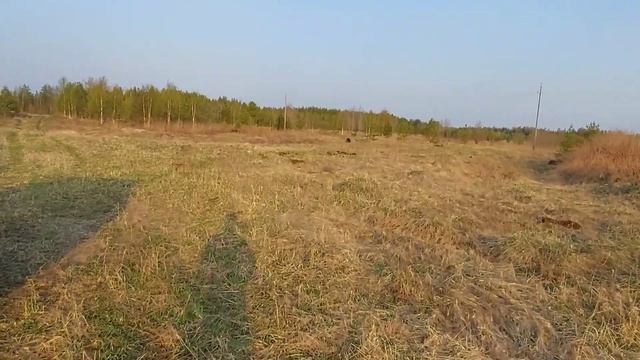 КОП Белой ночью,НАШЛИ БАЛАНСИР Т55 на рассвете  весенним утром