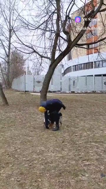 АО Тея - каскад три диска, совместные и каскад