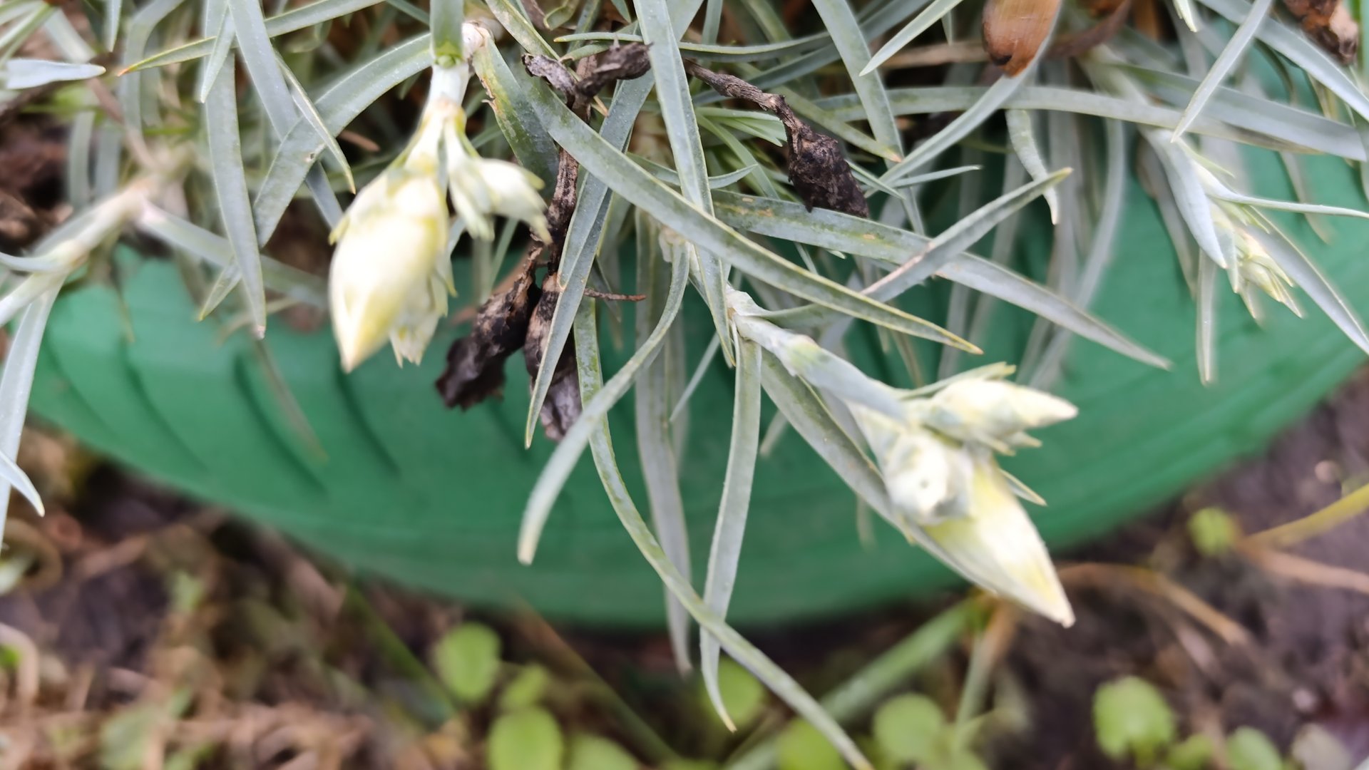 Тату, налоги и салатик