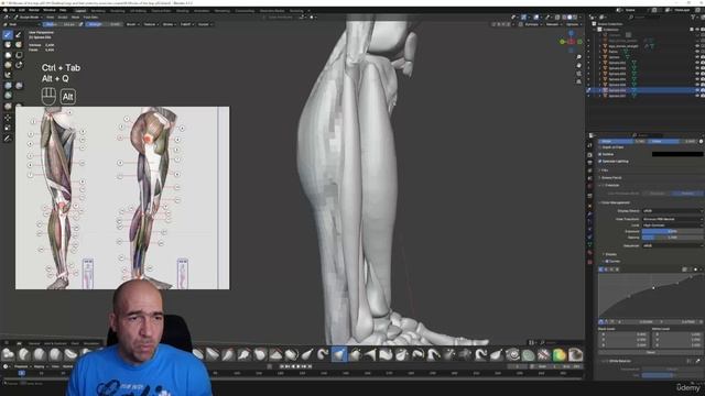 6 - Мышцы голени P02