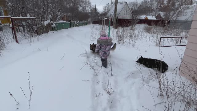 2025-01-02 Наш Сад - Прогулка с питомцами - 4 K