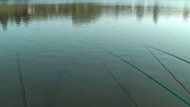 рыбак заскучал