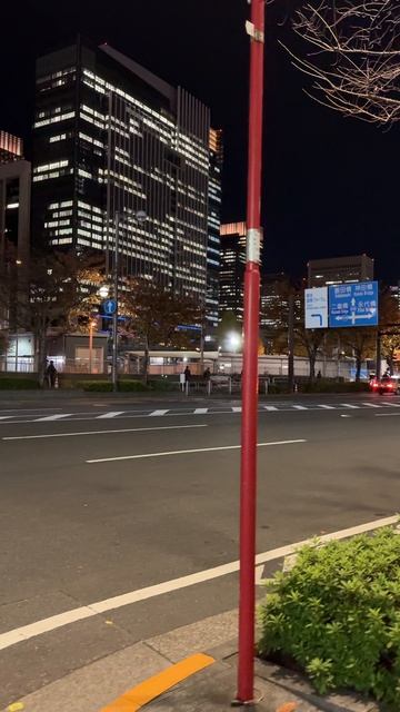 Вечерний токио1