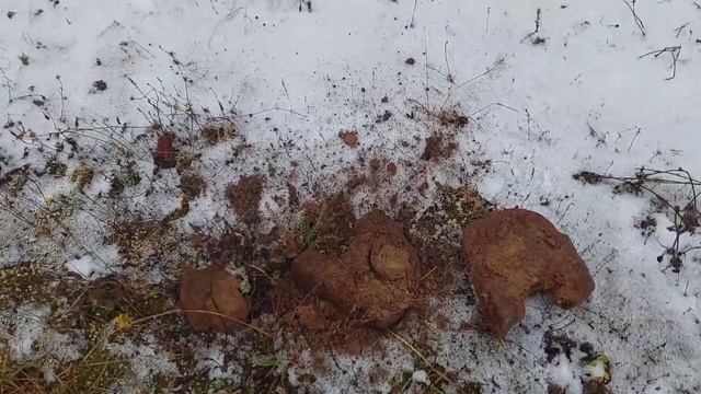 Металлокоп в посёлке  строгого режима с красивым  названием "Малиновка".