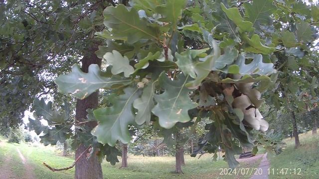 Усадьба Суйда. Часть 2.