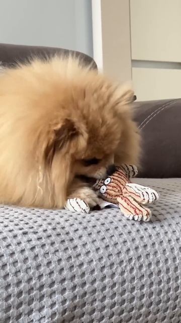 Бася вызвала Кролю на смертельный бой!