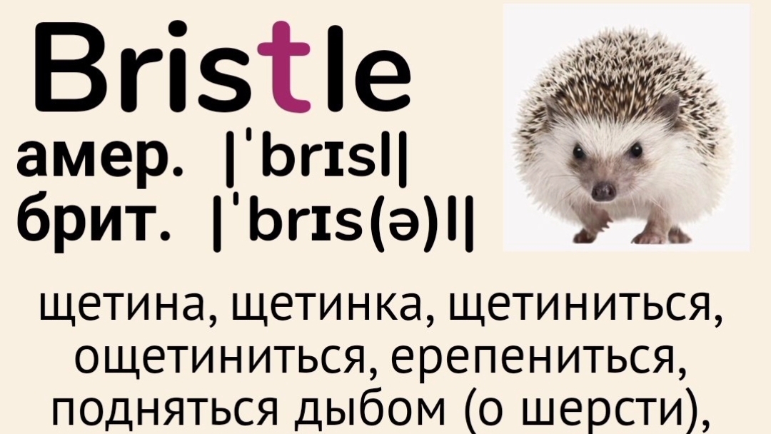 Слова с непроизносимыми буквами/тренажер👉bristle