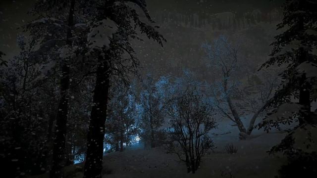 Уютный зимний шум ветра со снегом и вьюгой в волшебном лесу