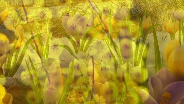 Поздравление с весной (В.Матвеева). Исп. Юлия Горина.