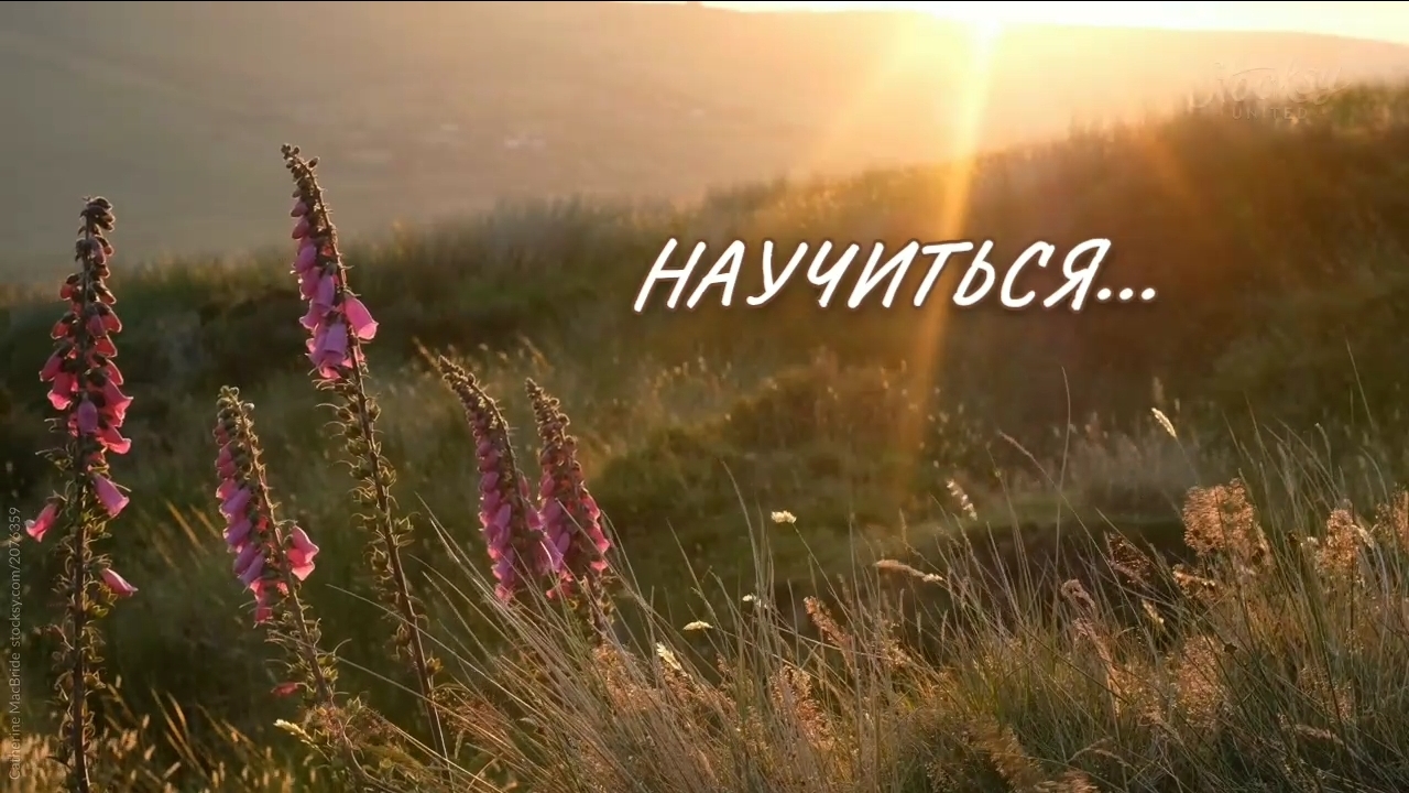 Научиться... | стихи христианские