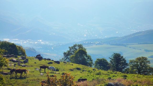 На приволье. Композ., исполн. Ю. Кучмаева