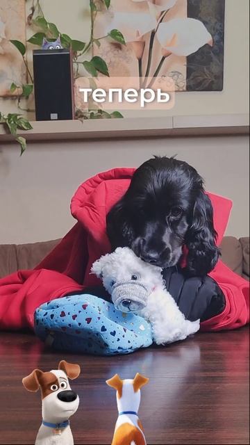Подарили собаку 🐶 #спаниель #подарок #щенок #игра #друзья #счастье #веселый #детский #животные
