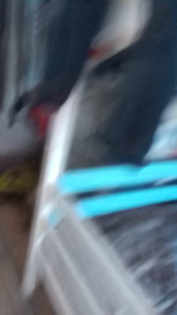 милый котик 3 серия 2 сезона