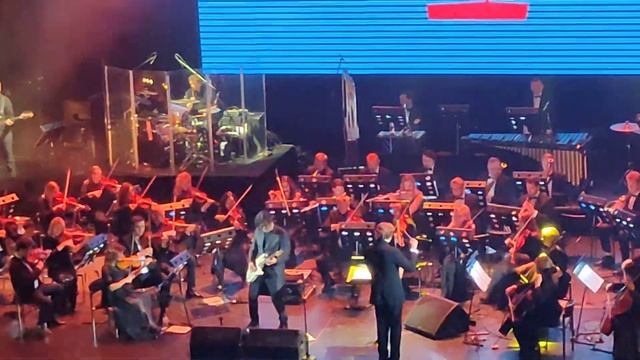 СимфоКИНО - Каждую ночь 13.10.23 БКЗ Петербург