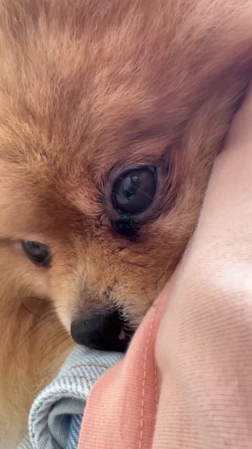 Видео заряжено на сон и расслабление!