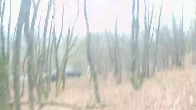 арентирывание часть 2