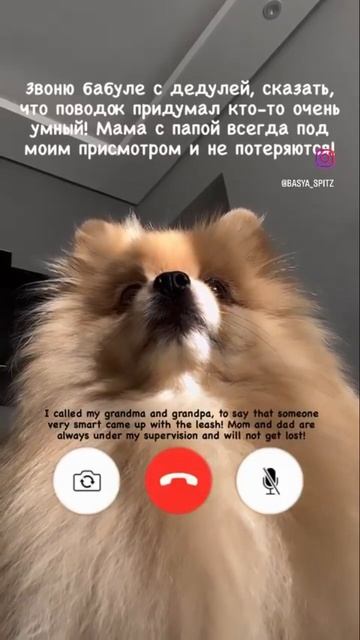 Звоню бабуле с дедулей #3