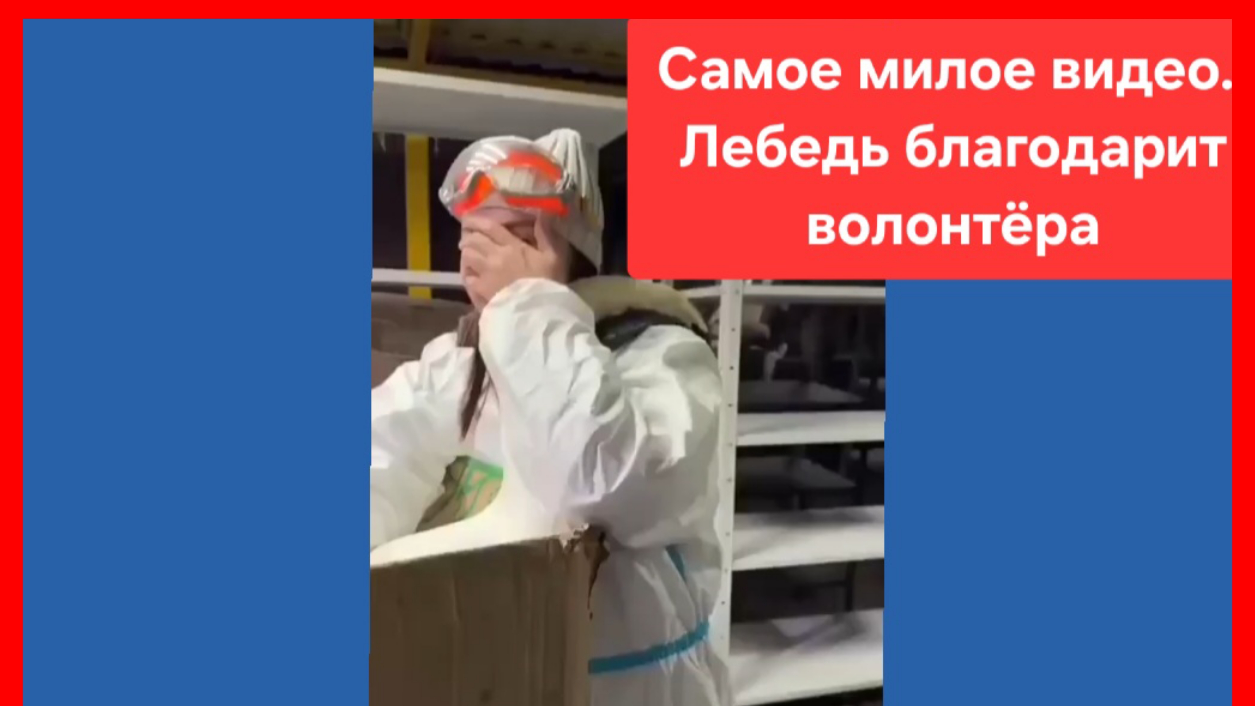 Птица сама вышла к людям из мазута. птицы. мазут. Анапа