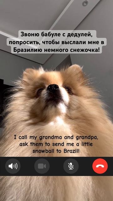 Звоню бабуле с дедулей #4