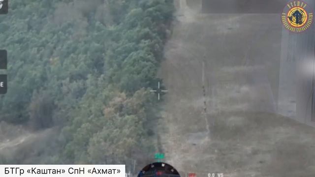 Славные сыны Севера