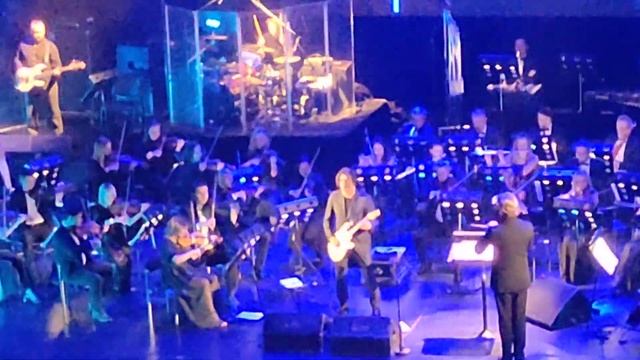 СимфоКино - В наших глазах 13.10.23 БКЗ Петербург