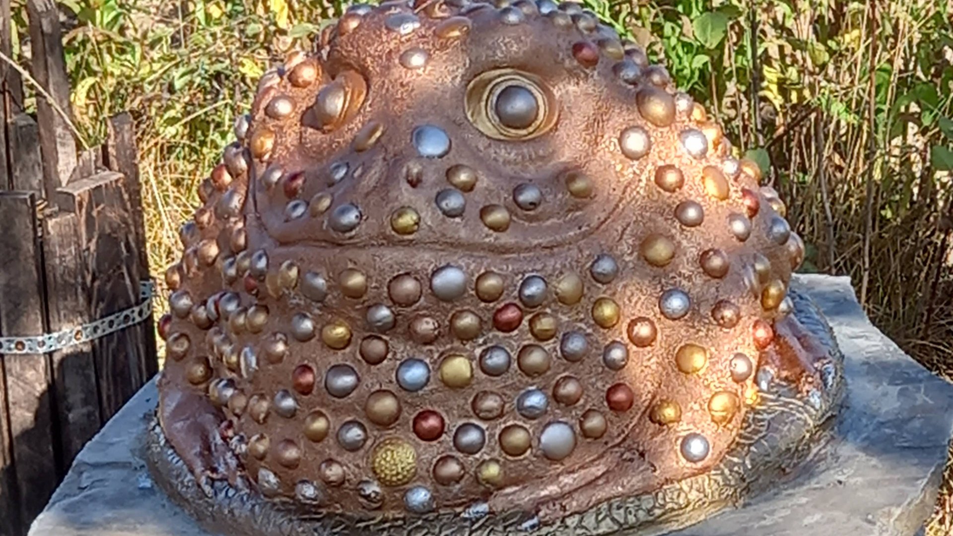 Десна лето 2024