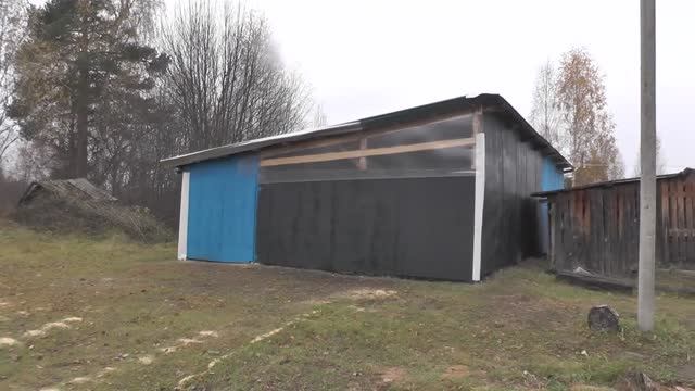 Результаты строительства большой овчарни и моя живность