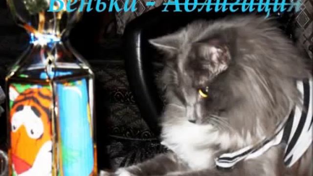 Ну и рожа у тебя, Шарапов